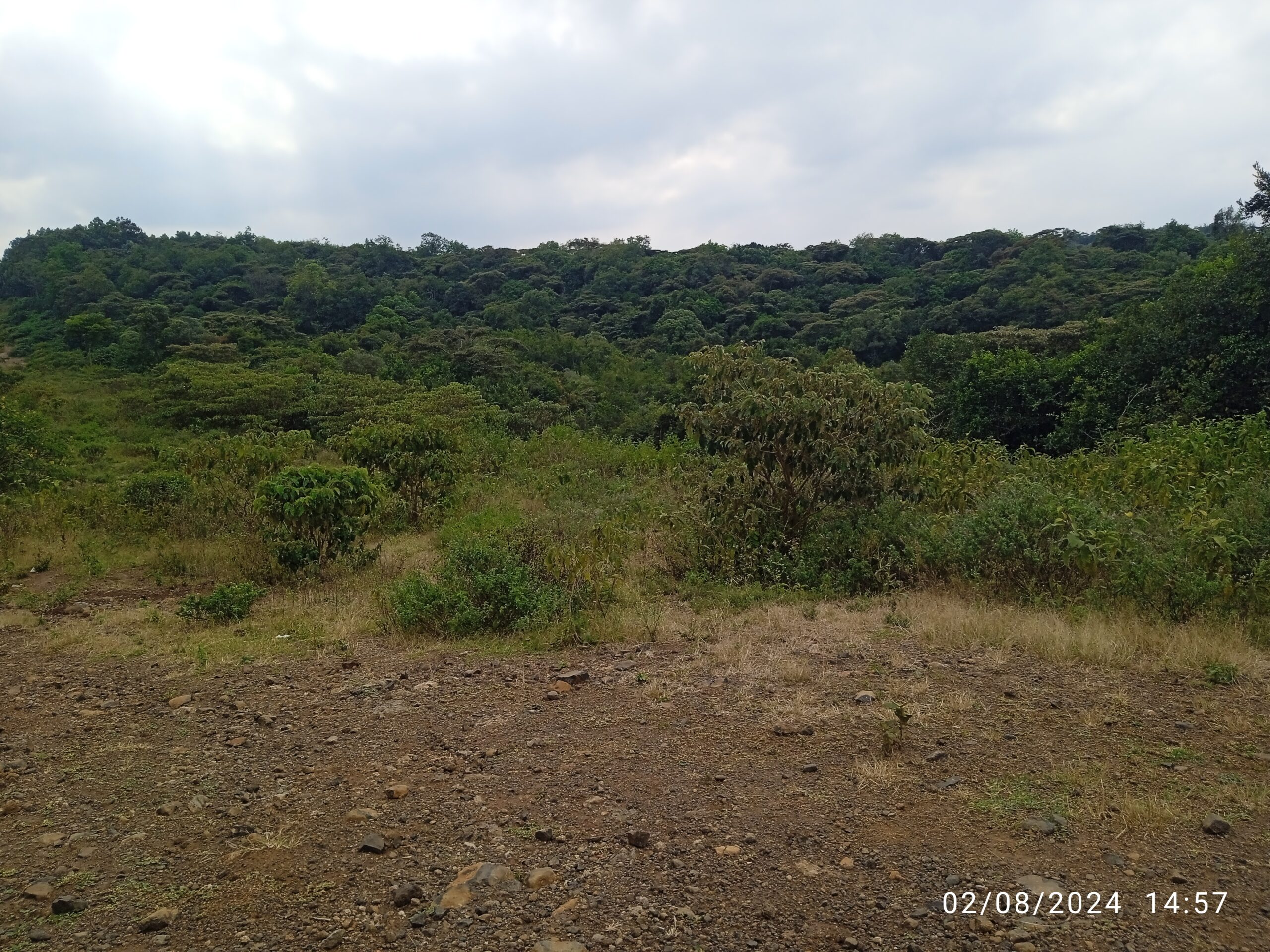 Oloolua Forest: A Community-Driven Journey - Kijani Resilience Hub